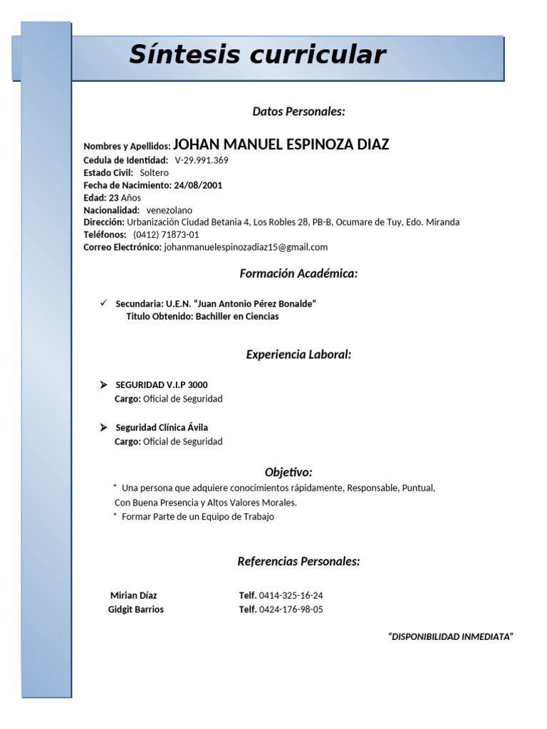 Curriculum Johan | PDF