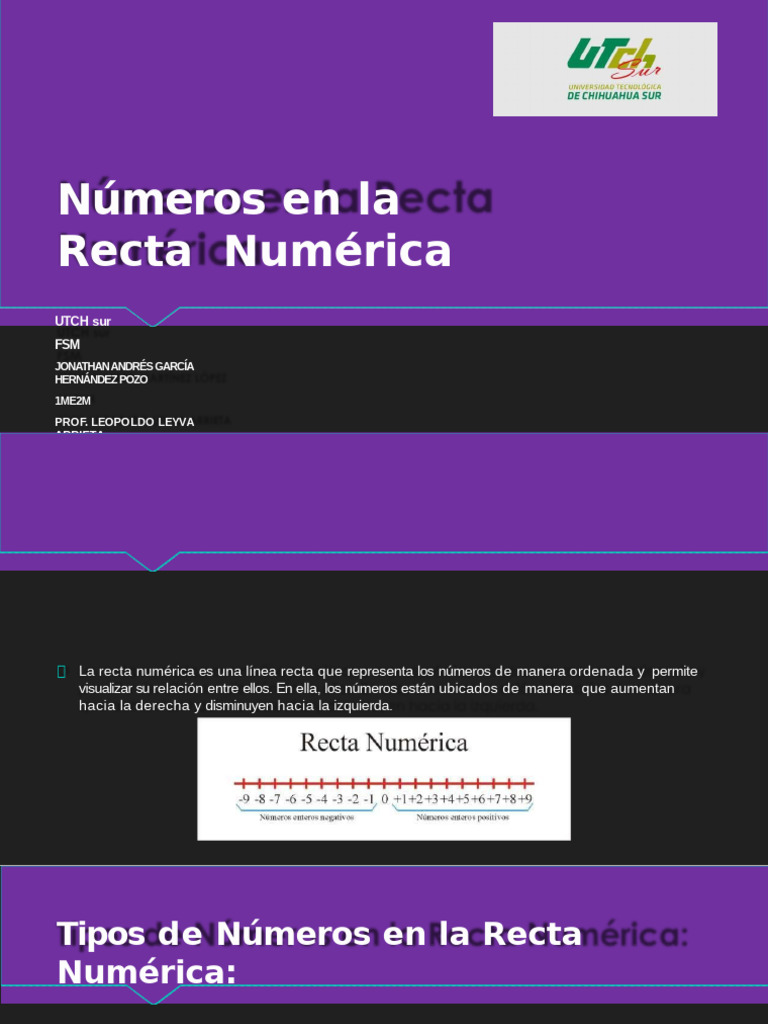 Recta Numerica | PDF