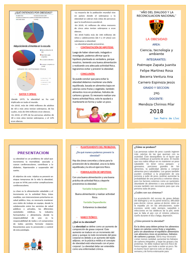 Triptico Cta La Obesidad | PDF | Obesidad | Dieta