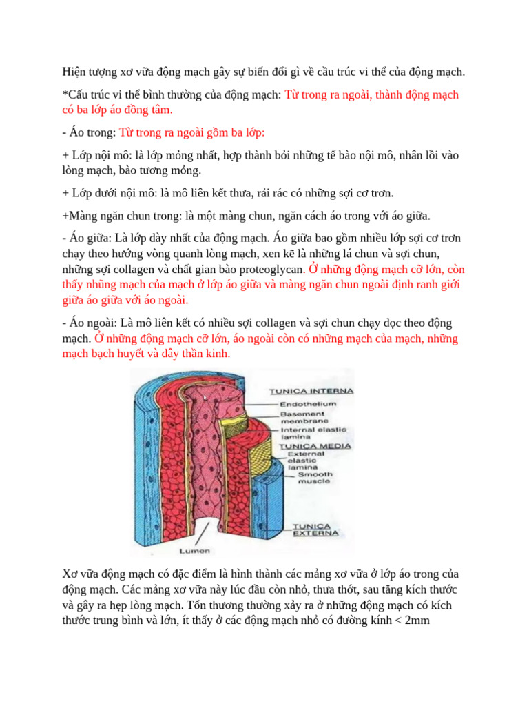 N4 Chặng 1 CLS2 | PDF