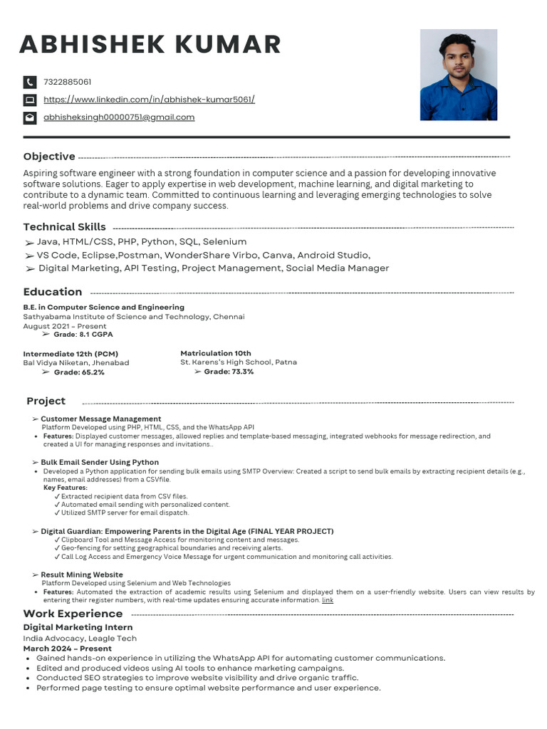 Professional Minimalist CV Resume | PDF | Websites | Selenium (Software)