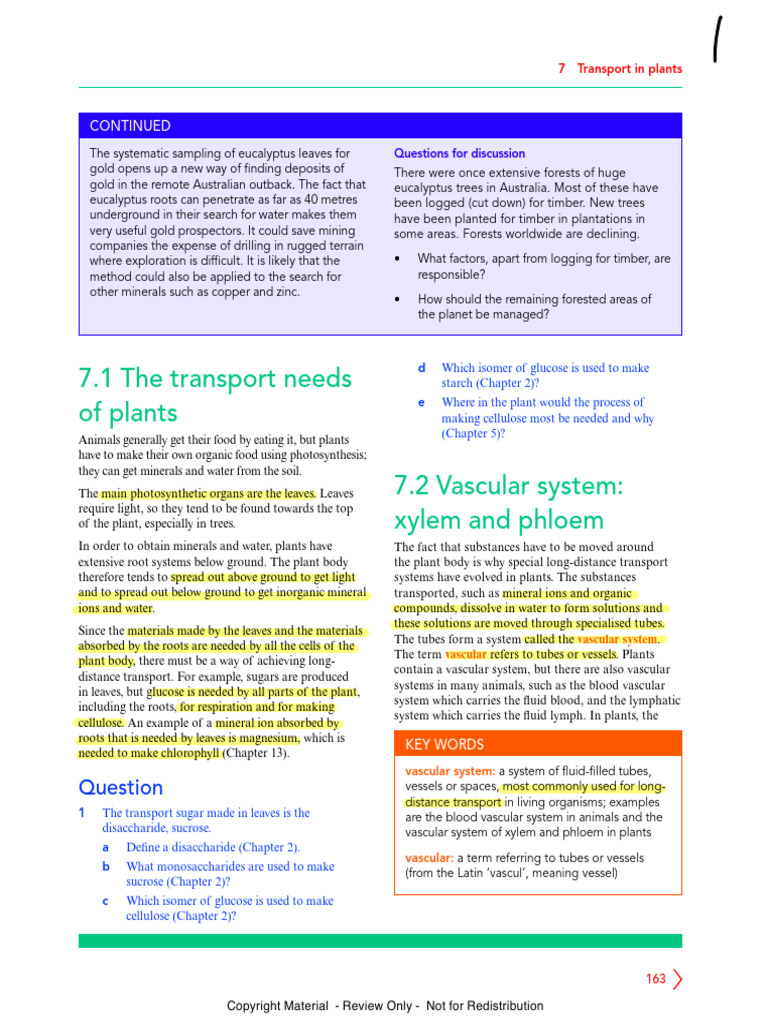 Transport in plants | PDF | Leaf | Plant Stem