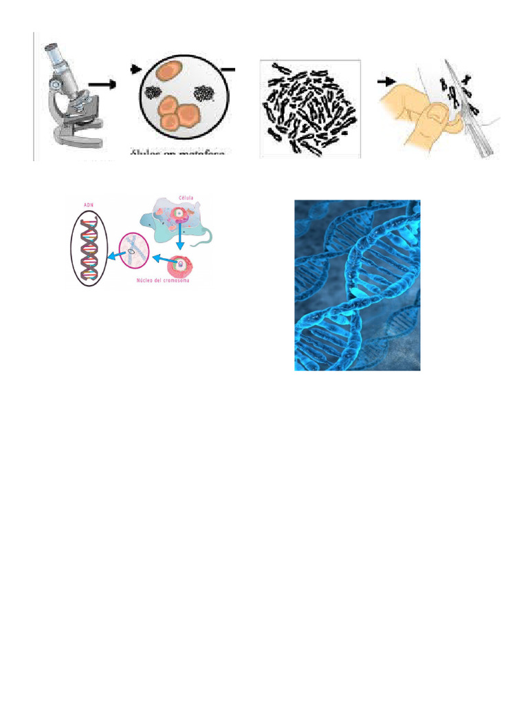 Csss Pdf
