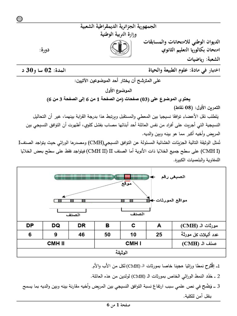 CMH I CMH I II (CMH Ii) | PDF