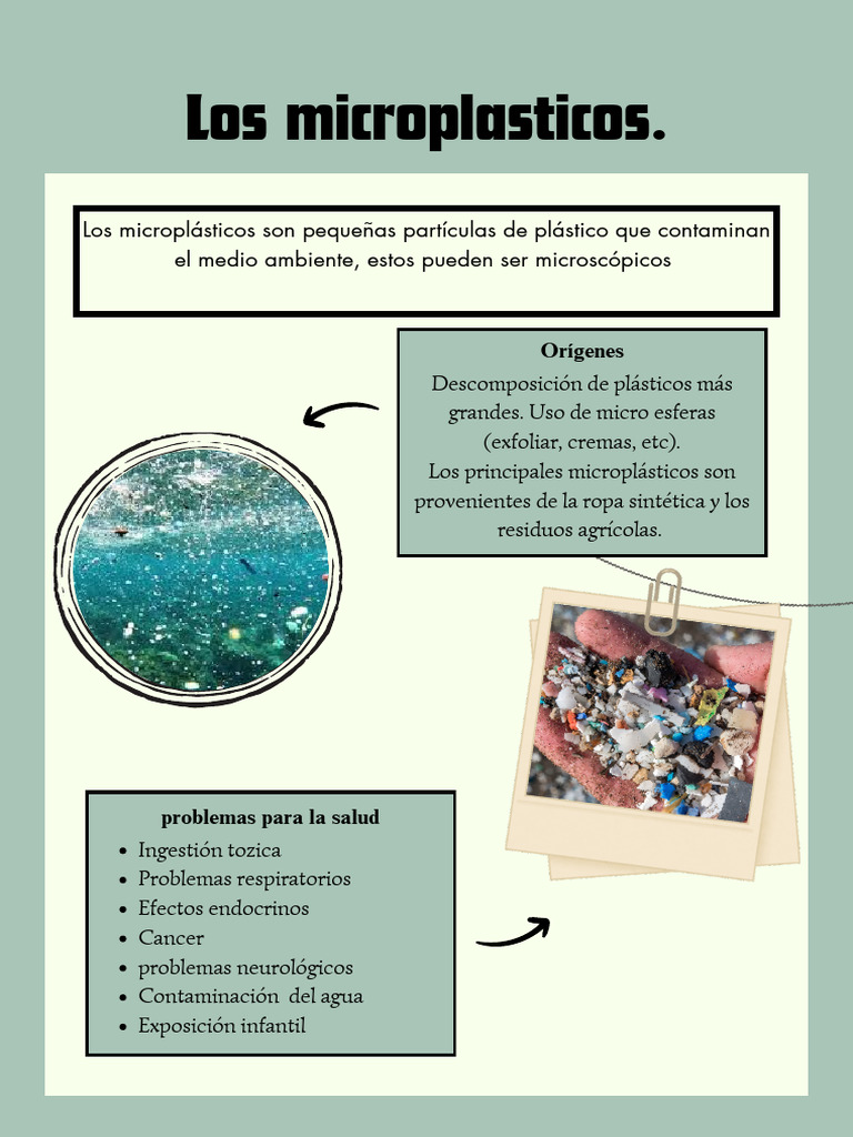 El Problema de No Reciclar (3) - 20240924 - 044712 - 0000 | PDF