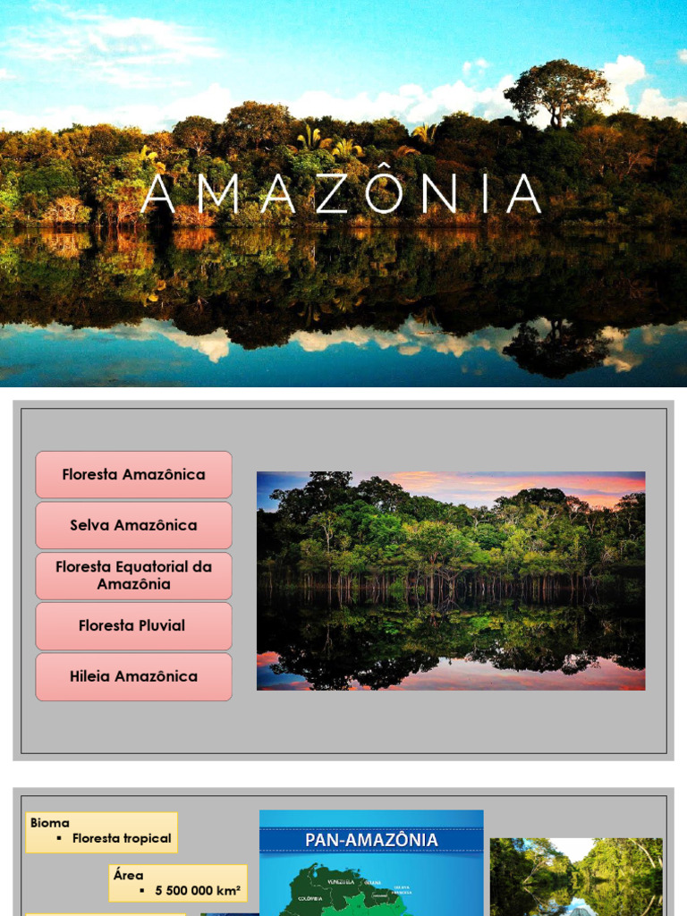 Biomas - Amazônia | PDF | Floresta Amazônica | Ambiente natural