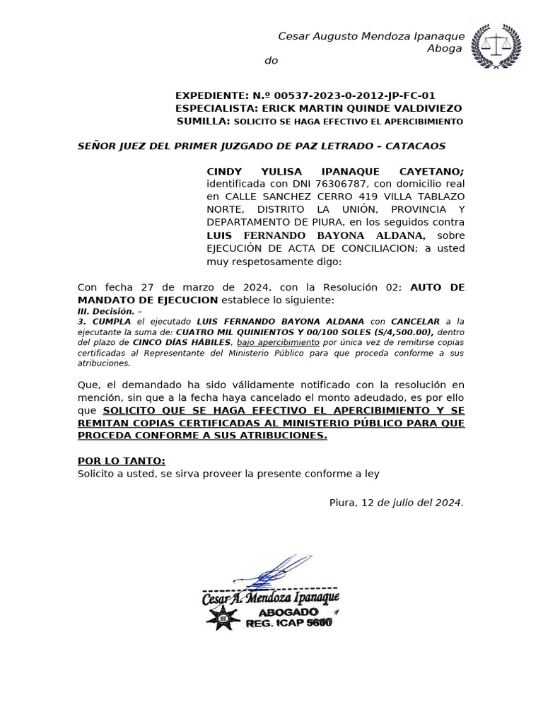 Solicito Que Se Haga Efectivo El Apercibimiento | PDF