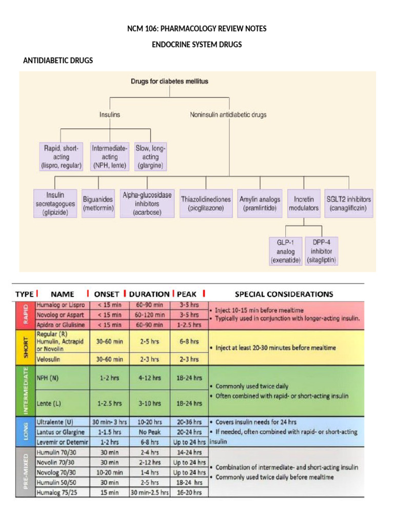 Review Notes Endocrine Drugs | PDF