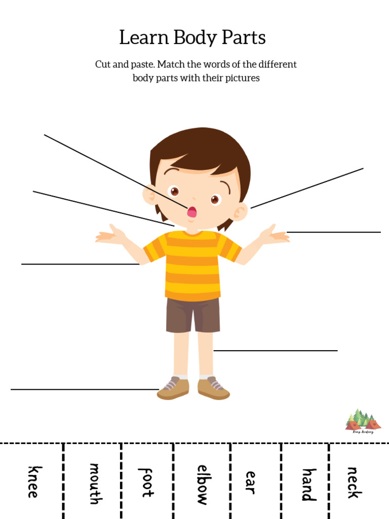 Learn Body Parts: Cut and Paste. Match The Words of The Different Body ...