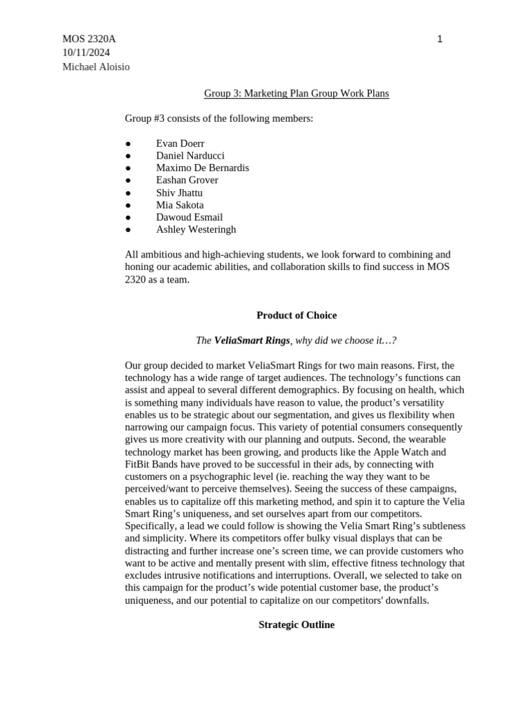 MOS 2320 example group work plan | PDF | Marketing | Business Economics