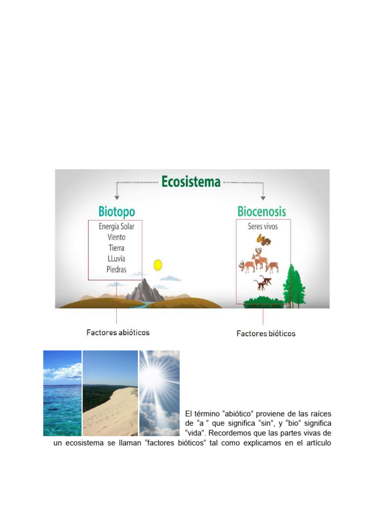 Factor Abiótico | PDF | Ecosistema | Agua