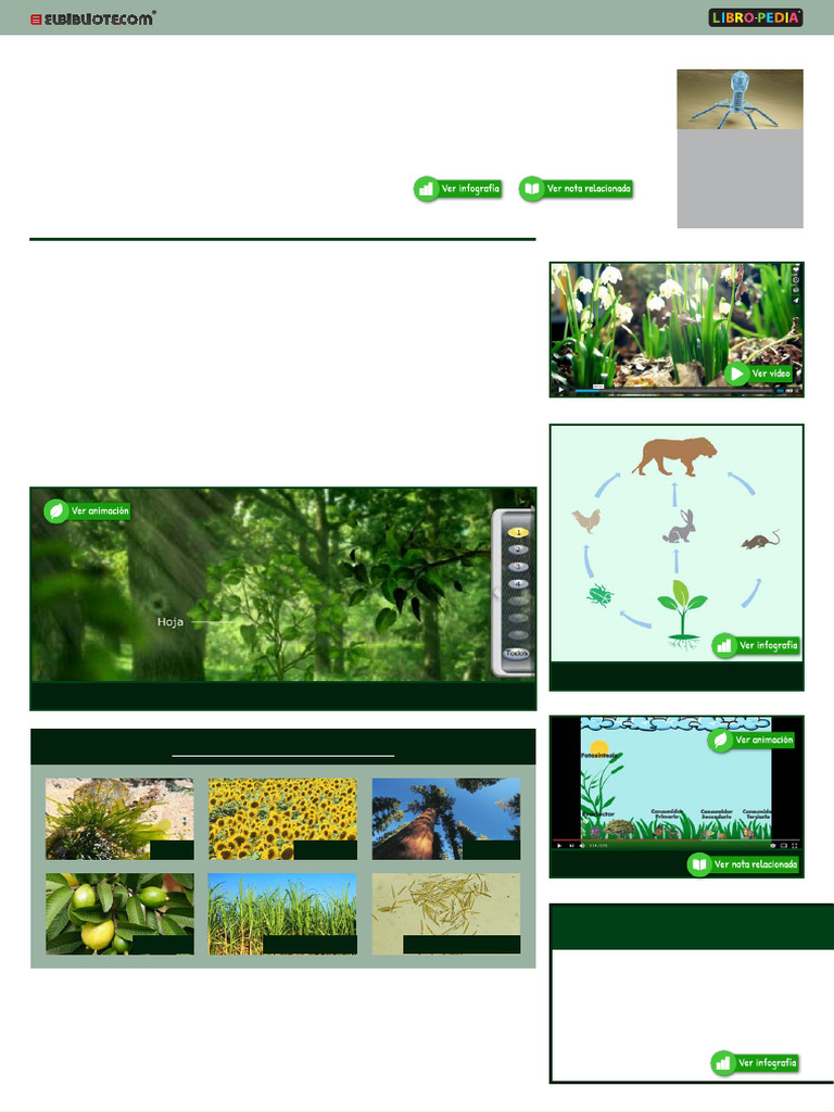 ¿Biótico O Abiótico?: Biodiversidad | PDF | Algas | Entorno natural