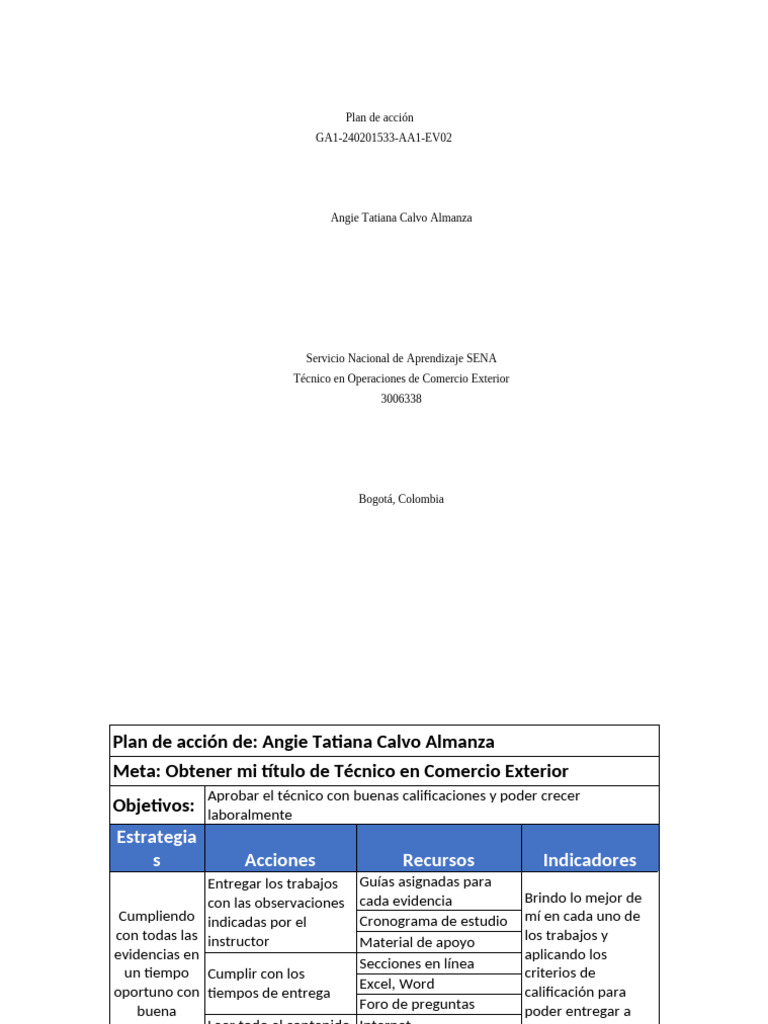 Plan de accion | PDF