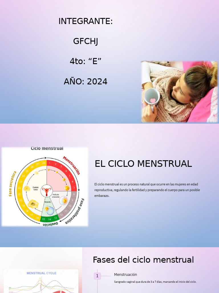 El Ciclo Menstrual | PDF | Menstruación | Ciclo menstrual