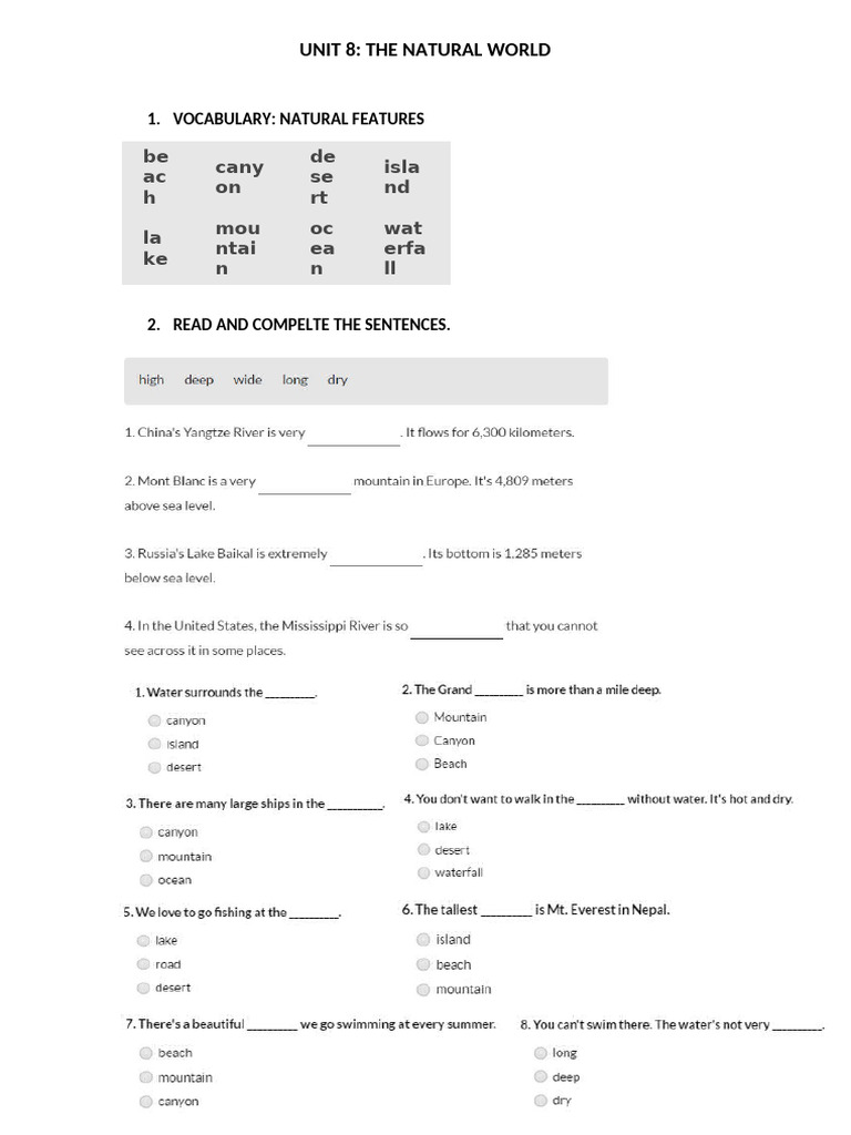 Unit 8a Vocabulary | PDF