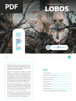 Anexo Lobos Continuemos Estudiando | PDF | Zoología