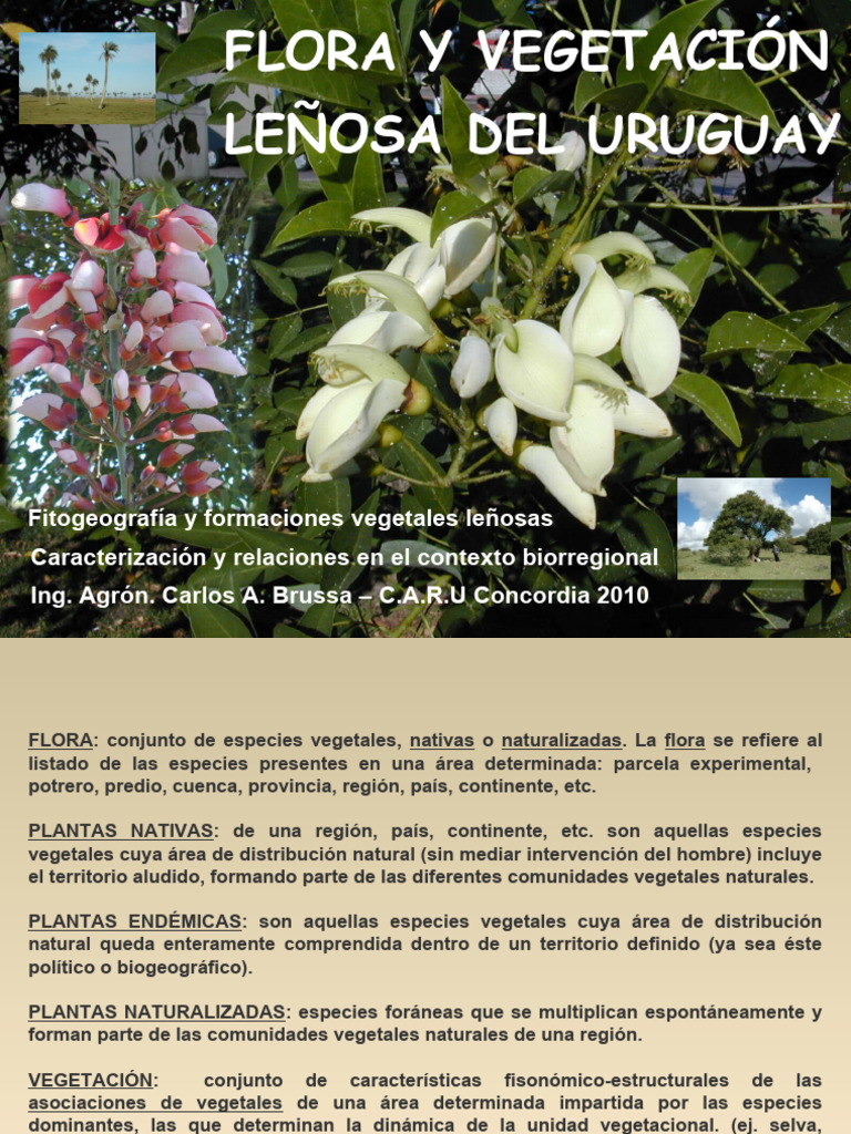 Flora y Vegetación Leñosa de Uruguay | PDF | Botánica | Ecología