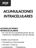 Inclusiones Citoplasmáticas: Función y Relevancia | PDF | Biología ...