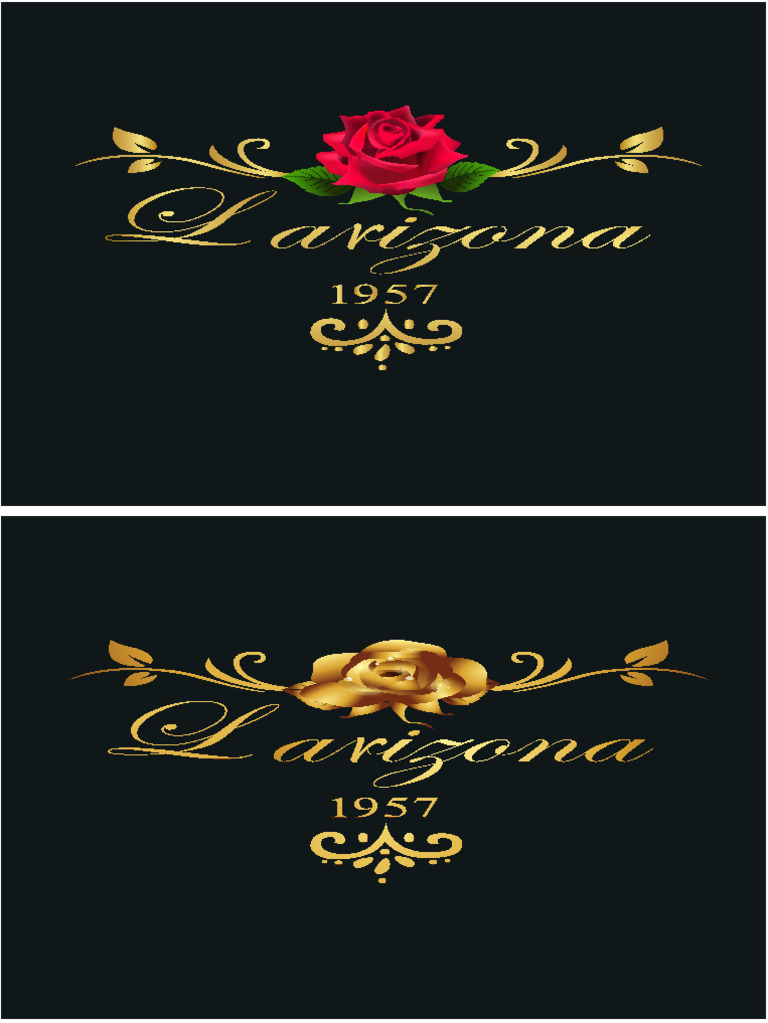 Logo Larizona | PDF