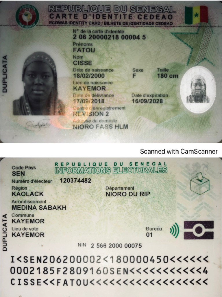 Fatou Cisse Cin | PDF