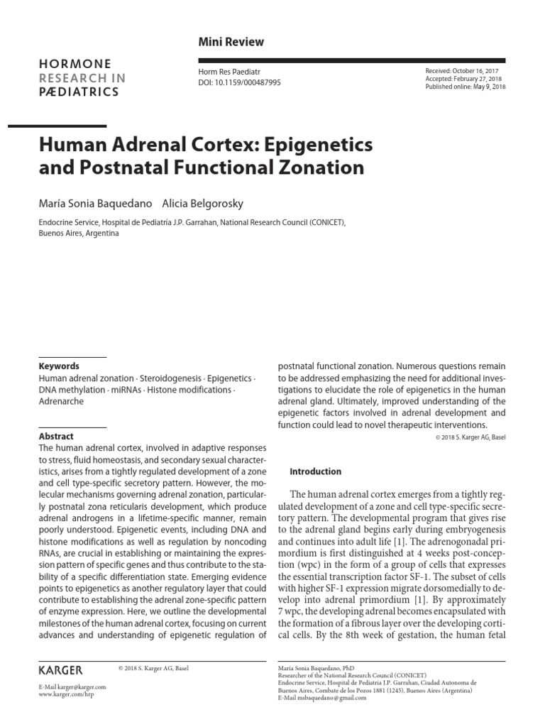 Human Adrenal Cortex: Epigenetics and Postnatal Functional Zonation ...