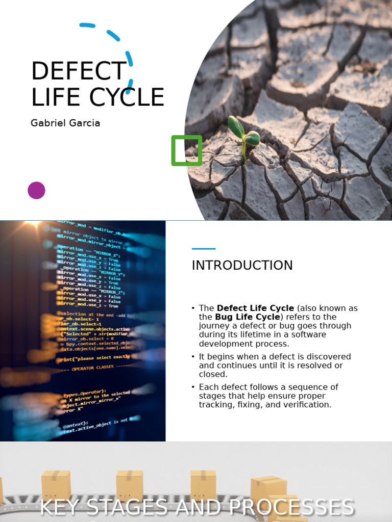 Defect Life Cycle | PDF | Software Bug | Computing
