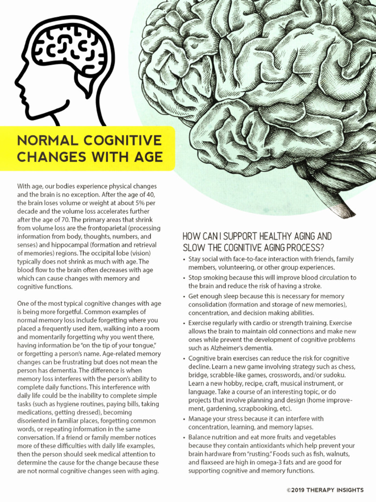 Aging and Cognition Handout | PDF