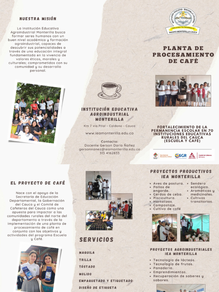 Triptico Café IEAM - IMP | PDF