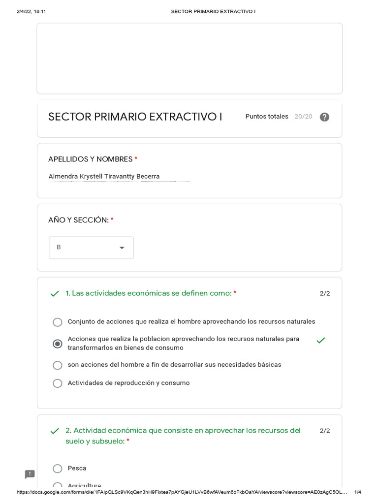 Actividades del Sector Primario Extractivo | PDF | Minería | Compuestos ...