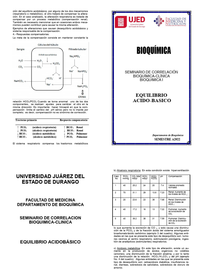 Compensación del Equilibrio Acidobásico | PDF | Solución tampón | Dióxido de carbono