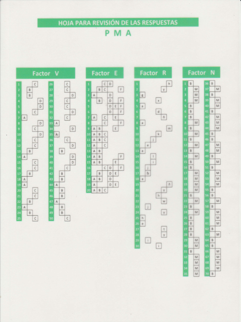 Plantilla de Calificacion PMA | PDF