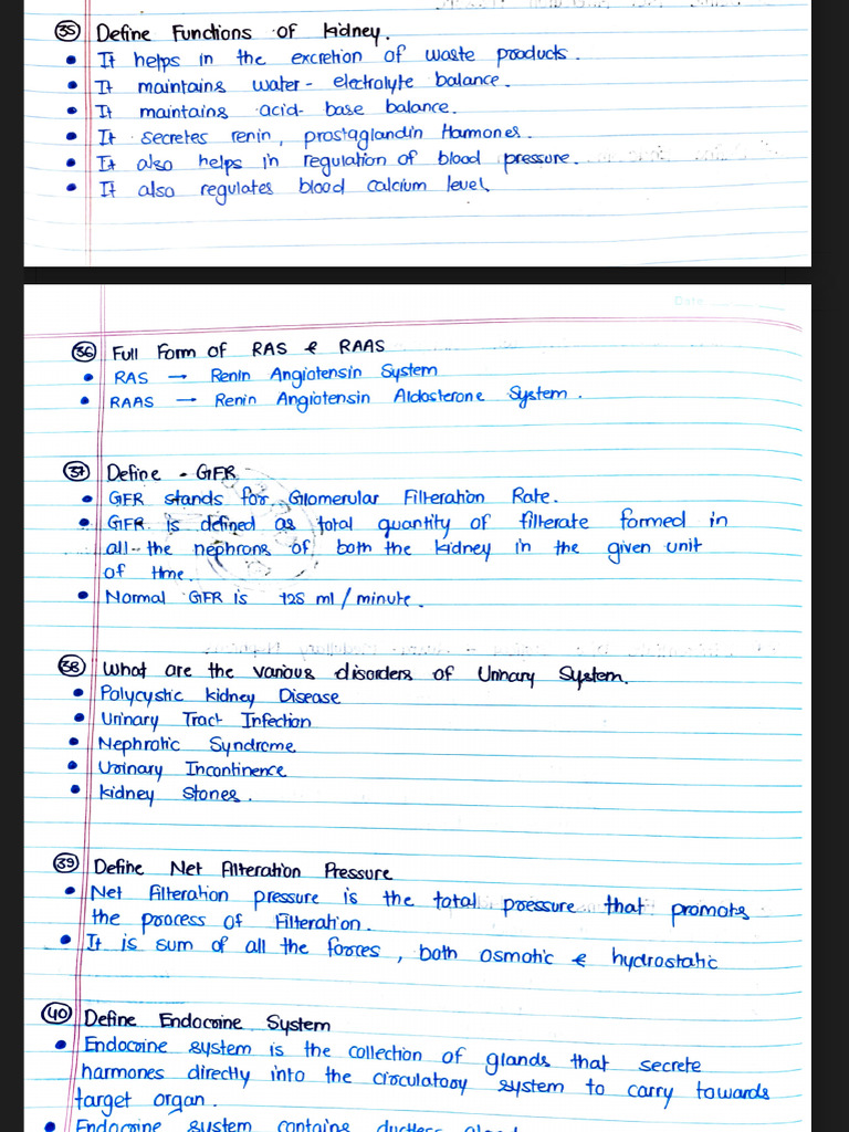 2 Marks HAP (Imperfectpharmacy) .PDF - Google Drive 2 | PDF