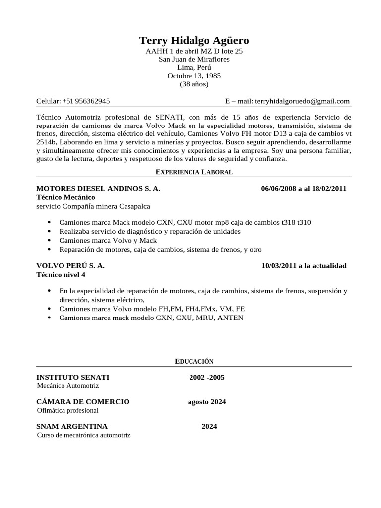 Modelo CV Terry Hidalgo Agüero | PDF