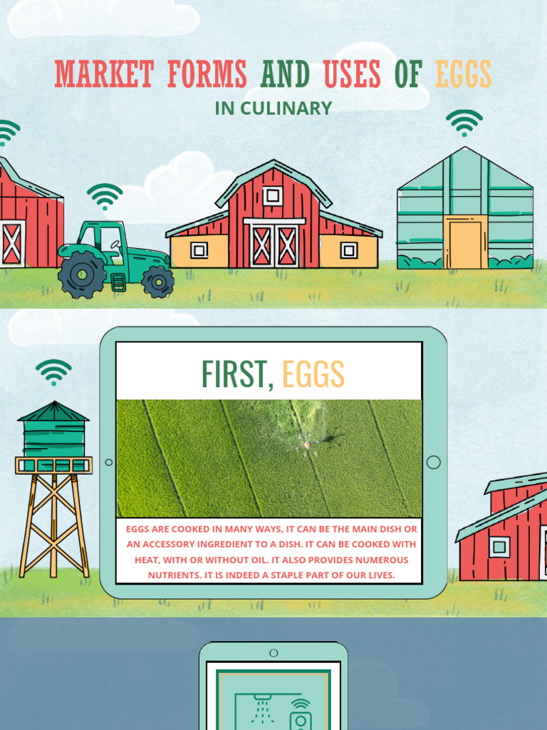 HOW-EGG-TLE-REPORT-GROUP-1 | PDF