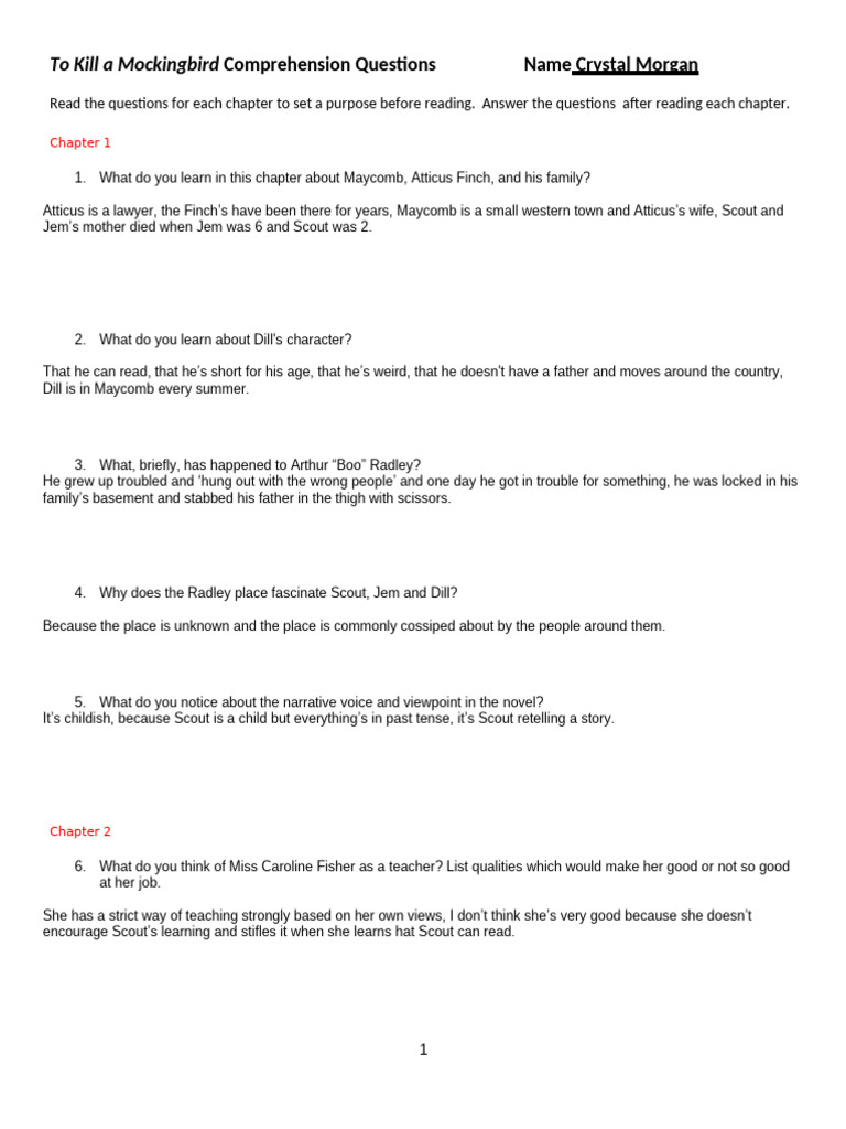 To Kill a Mockingbird: Comprehension Questions | PDF | To Kill A ...