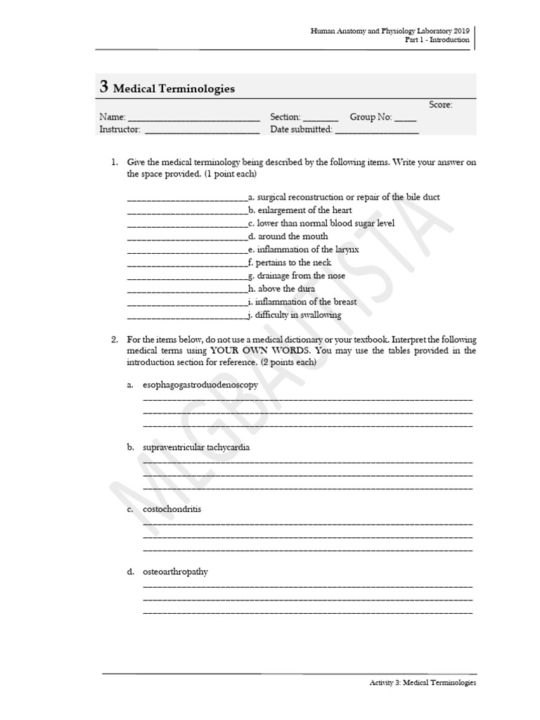 Medical Terminology Practice Activity | PDF | Medical Specialties ...