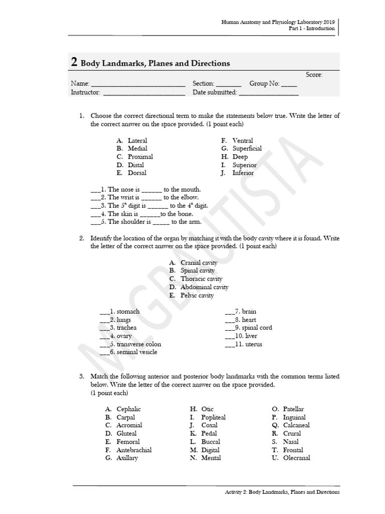 Activity 2 Body Landmarks Planes and Directions Modified | PDF ...