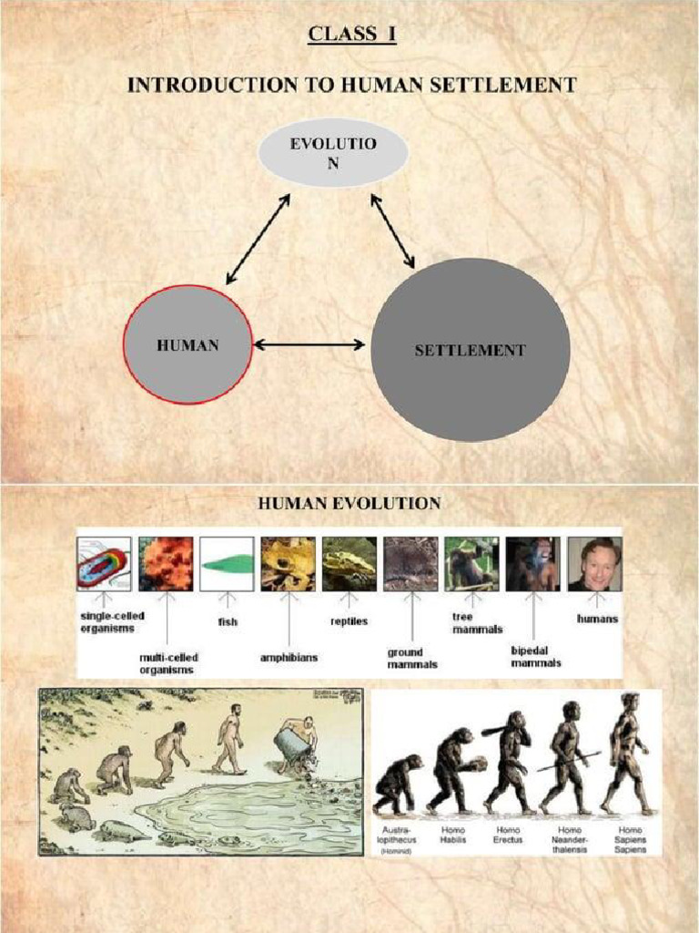 Intro Human Settlement | PDF
