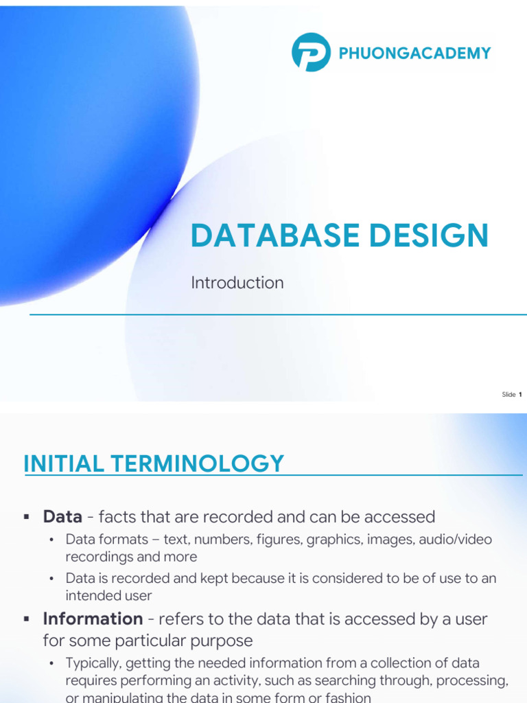 Database Design 1 | PDF | Databases | Metadata