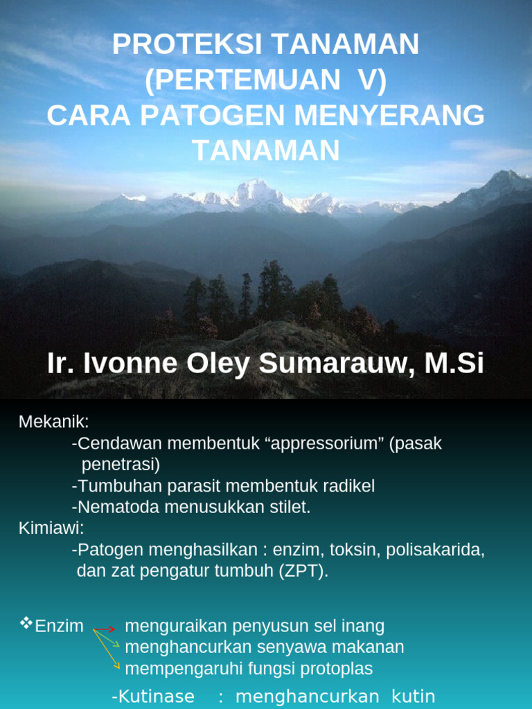 Cara Patogen Menyerang Tumbuhan | PDF | Griya & Taman