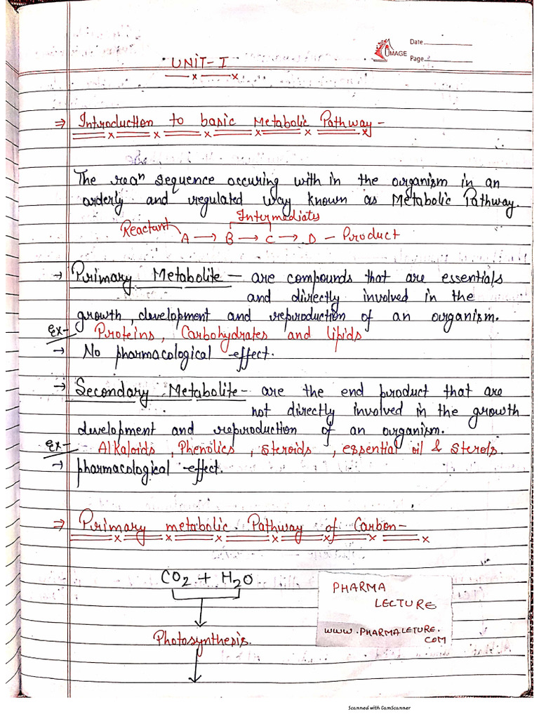 COGNOSY U-1 SEM-V | PDF