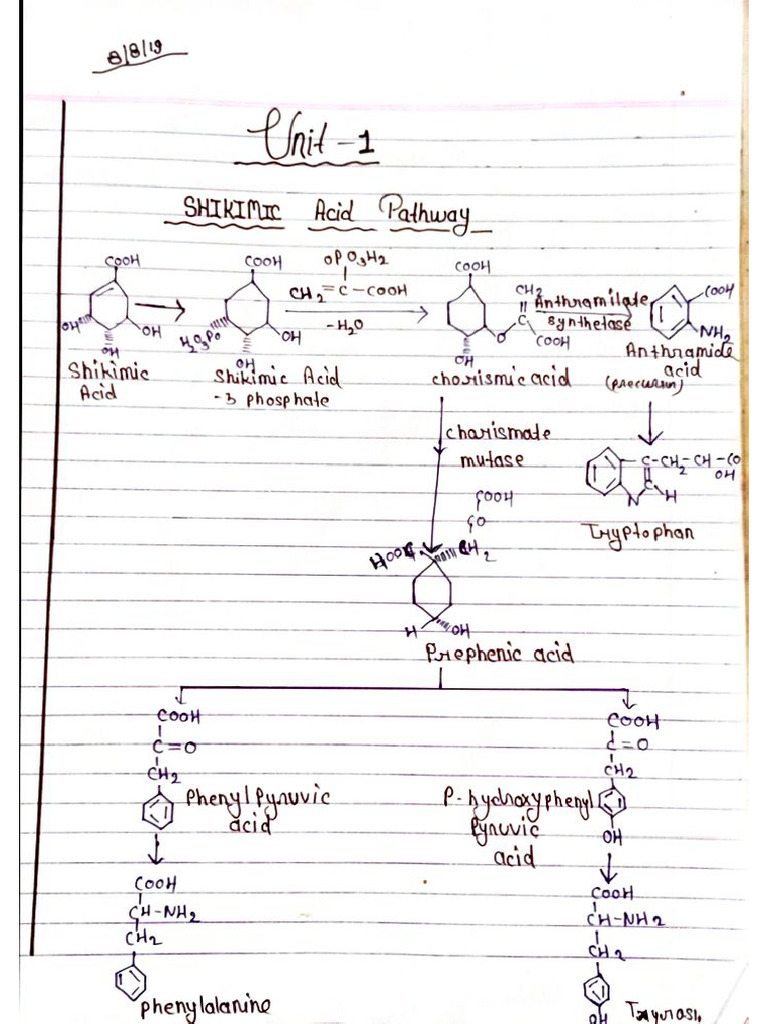 Unit 1 Cognosy Tjsyqv | PDF