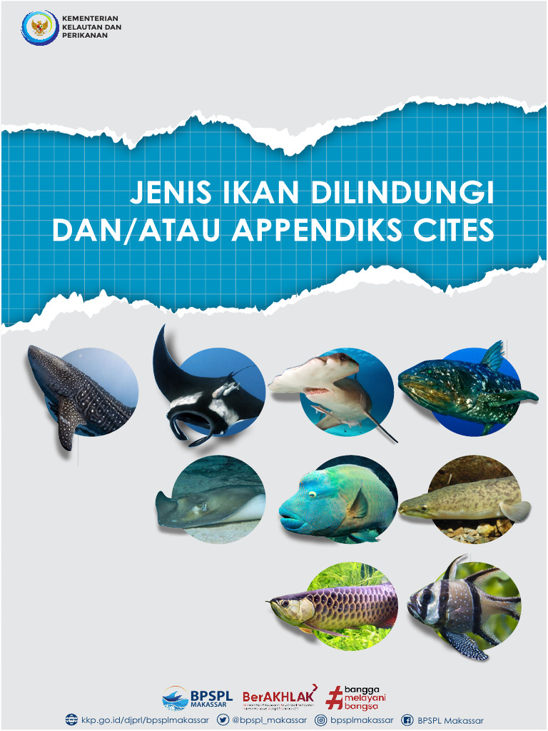 BPSPL Makassar - Leaflet Biota Dilindungi | PDF