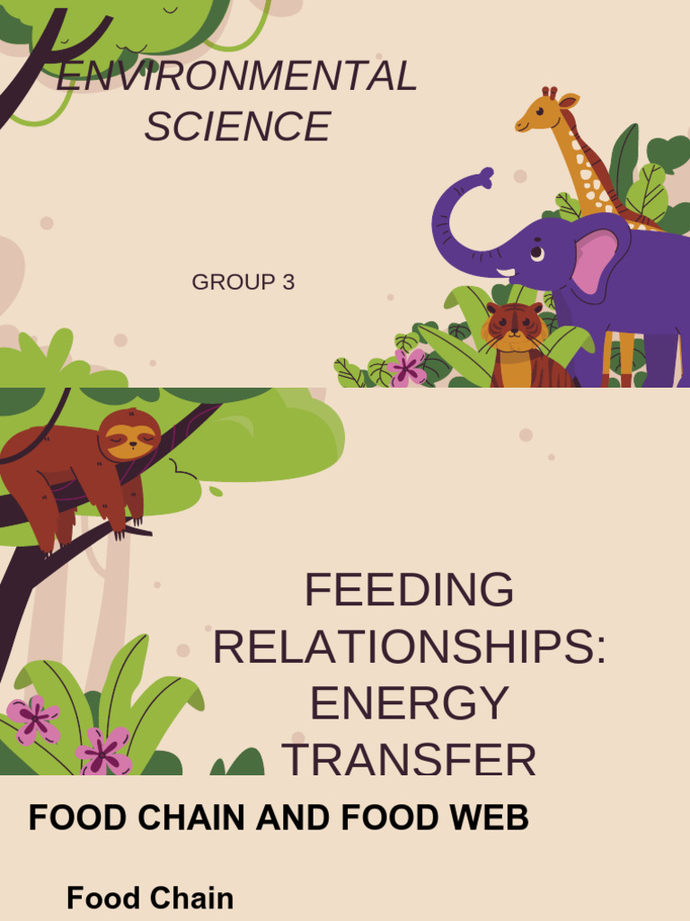 Environmental-Science-Group-3.pptx 20240902 212742 0000 | PDF | Food Web | Foods