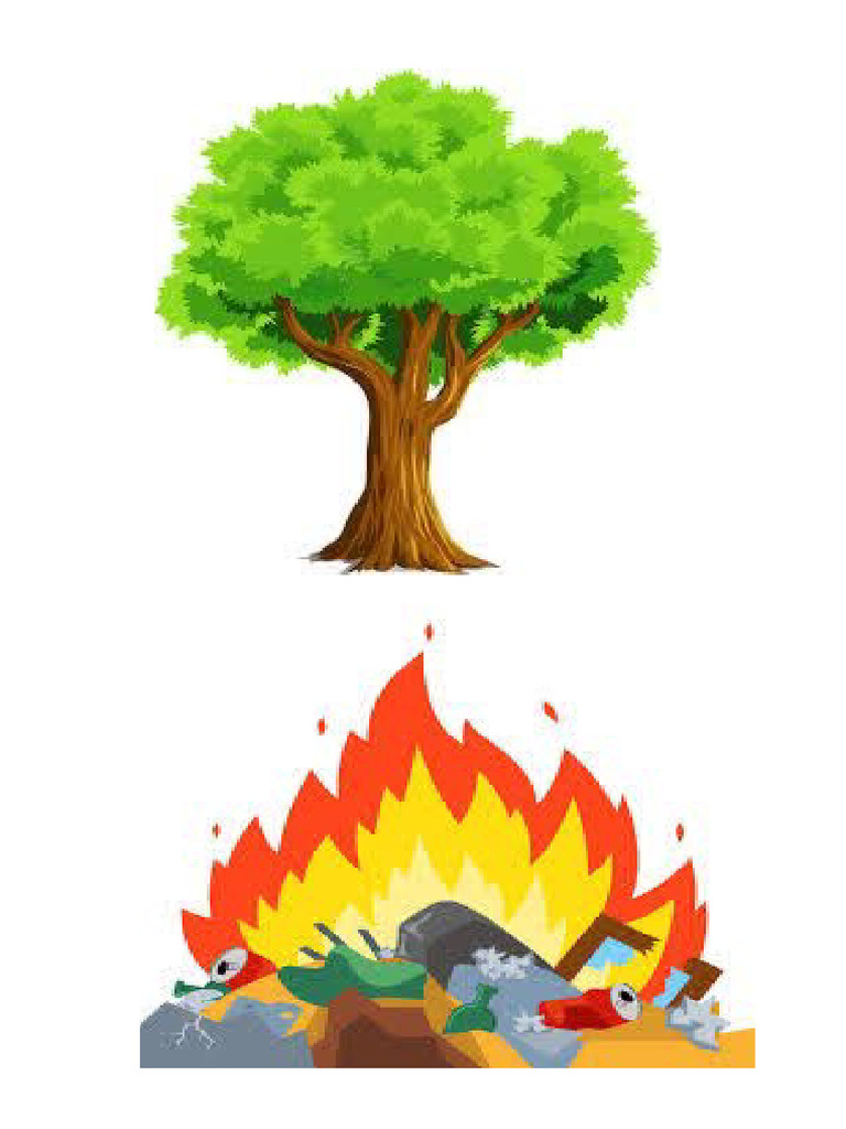 Documento (58) | PDF