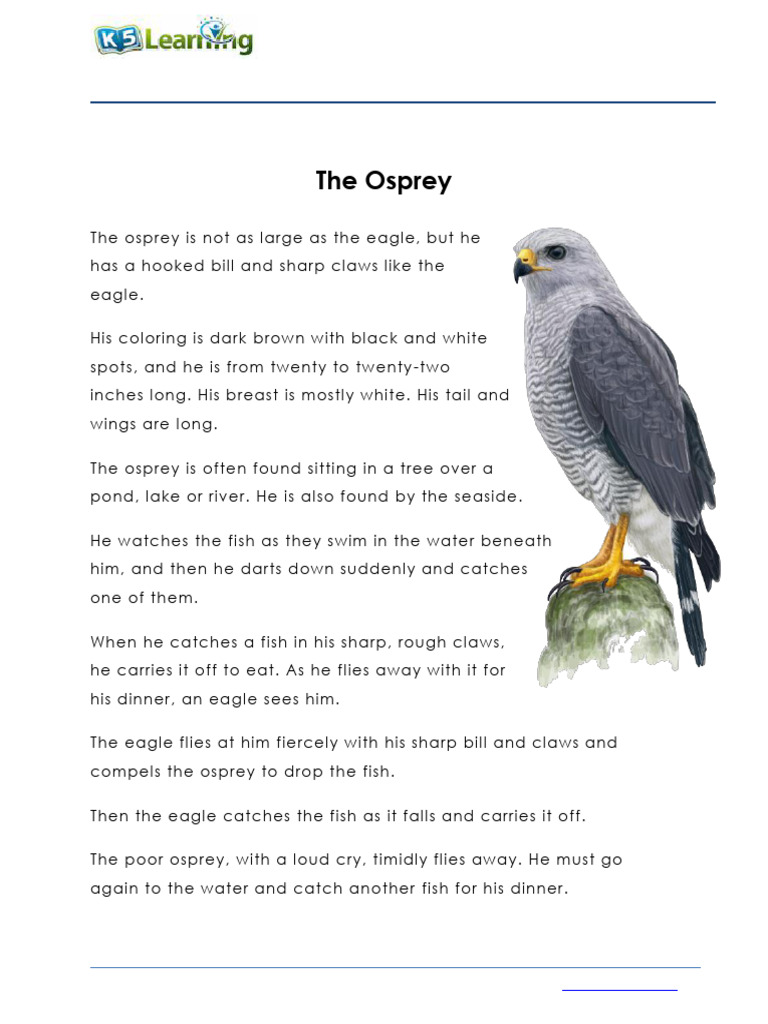 Grade 4 Osprey Reading Worksheet | PDF