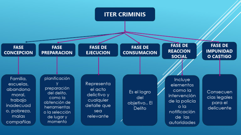 Iter Criminis | PDF