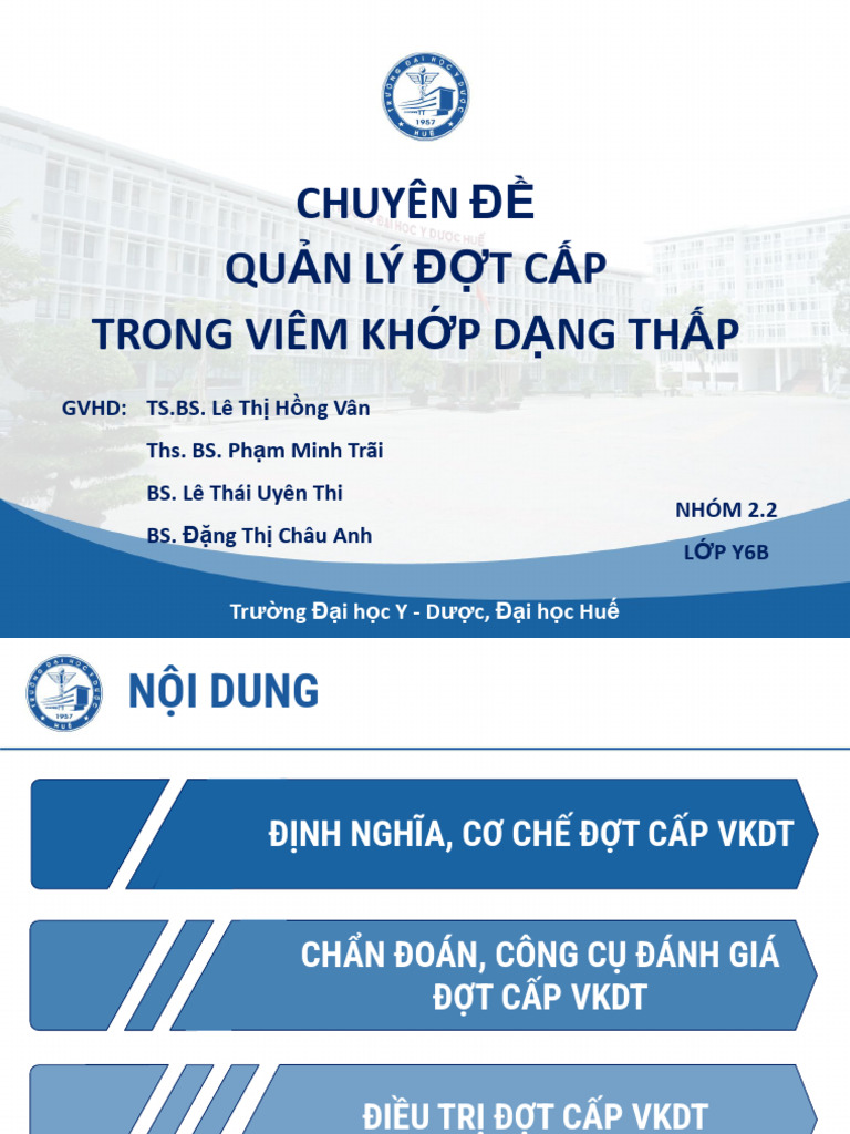 Chuyên Đề Quản Lý Đợt Cấp VKDT | PDF