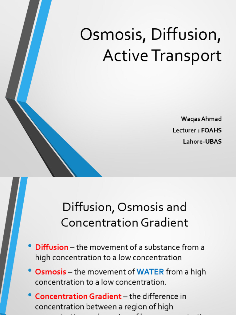 Lecture 3. Osmosis Diffusion | PDF | Osmosis | Cell Membrane
