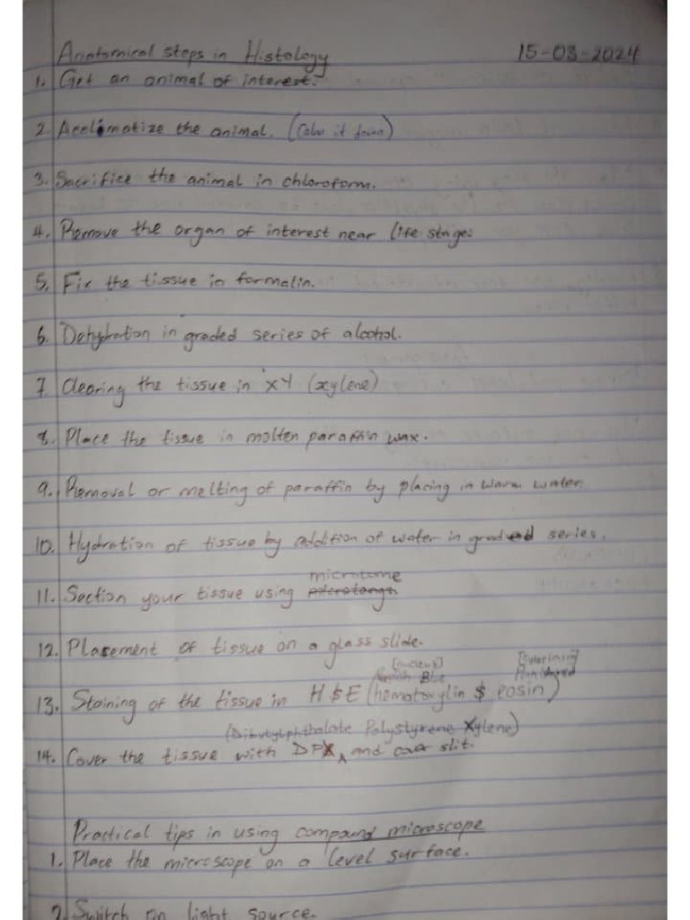 Histology Note (99.5%) | PDF